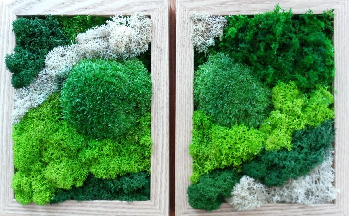 Návrhy interiérů - Miriam design